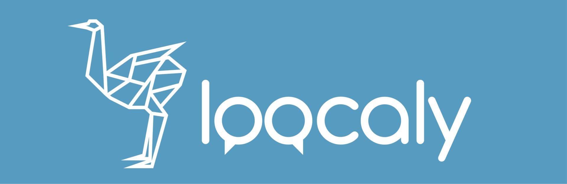 Loocaly - Litecom - Création de logo