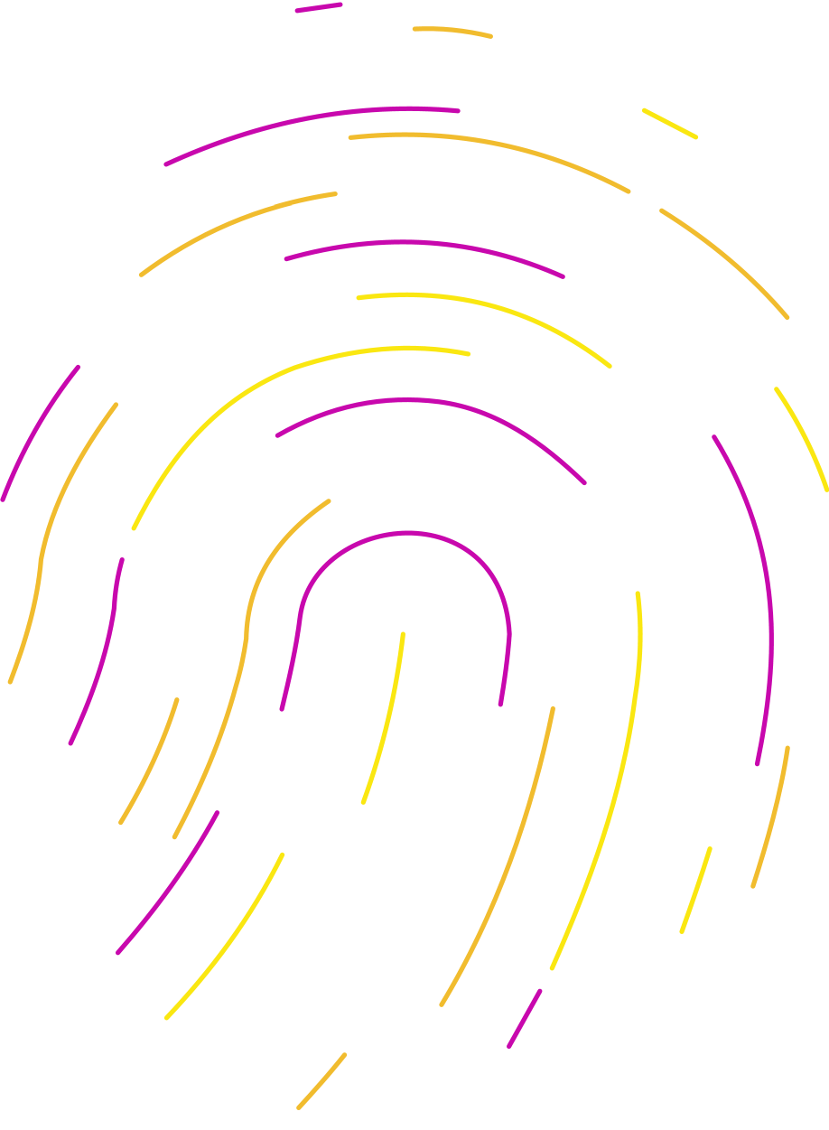 Litecom - Logo / Web / Print / Conseil